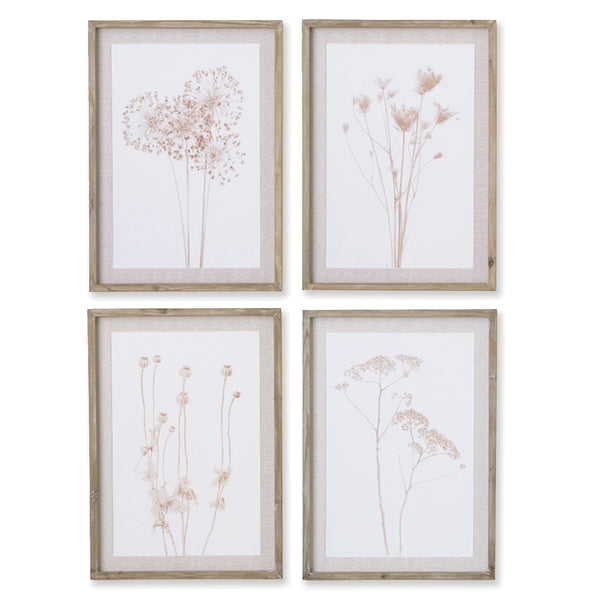 STYLIZED BOTANICAL PRINTS, SET OF 4 | NAPA HOME & GARDEN | FREE ...