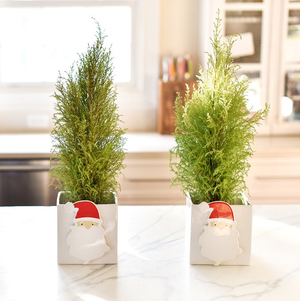 HAPPY EVERYTHING SANTA HO HO HO MINI ATTACHMENT | FREE SHIPPING